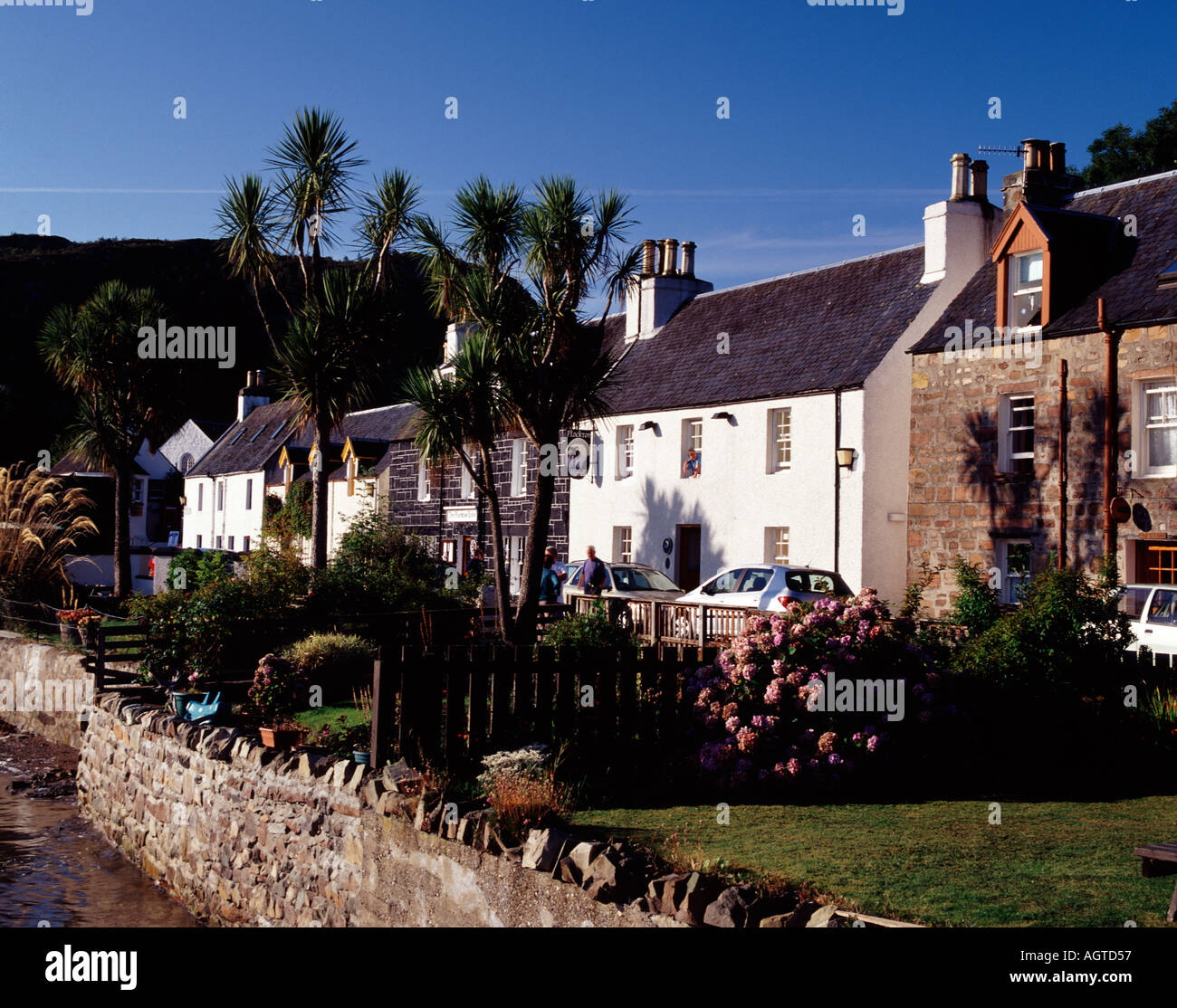 Plockton palm trees hi-res stock photography and images - Alamy