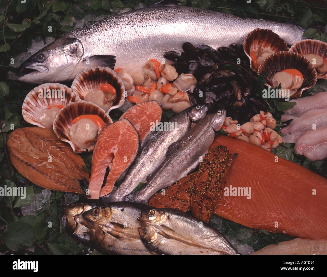 Seatrout hi-res stock photography and images - Alamy
