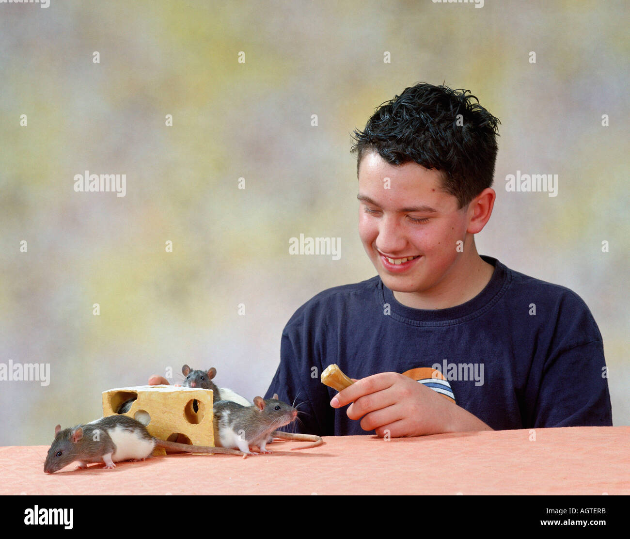 Boy with Domestic Rat Stock Photo - Alamy