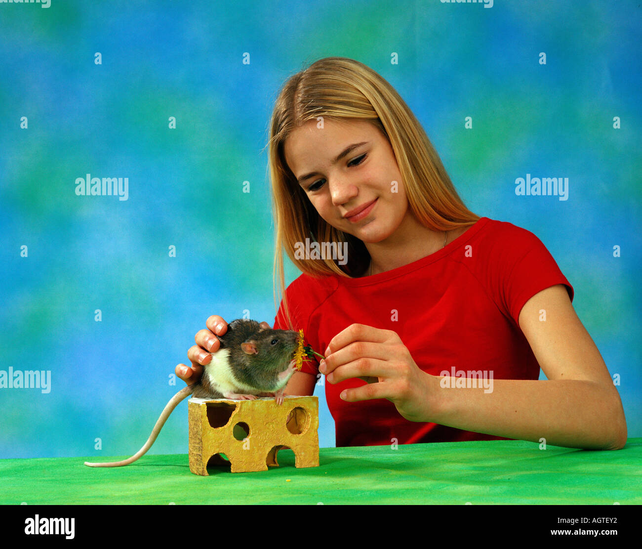 Pet rat teenager hi-res stock photography and images - Alamy