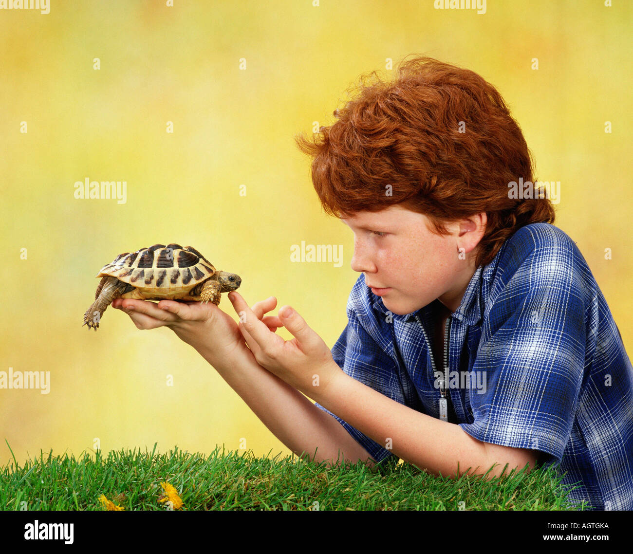 Tortoise with children hi-res stock photography and images - Alamy