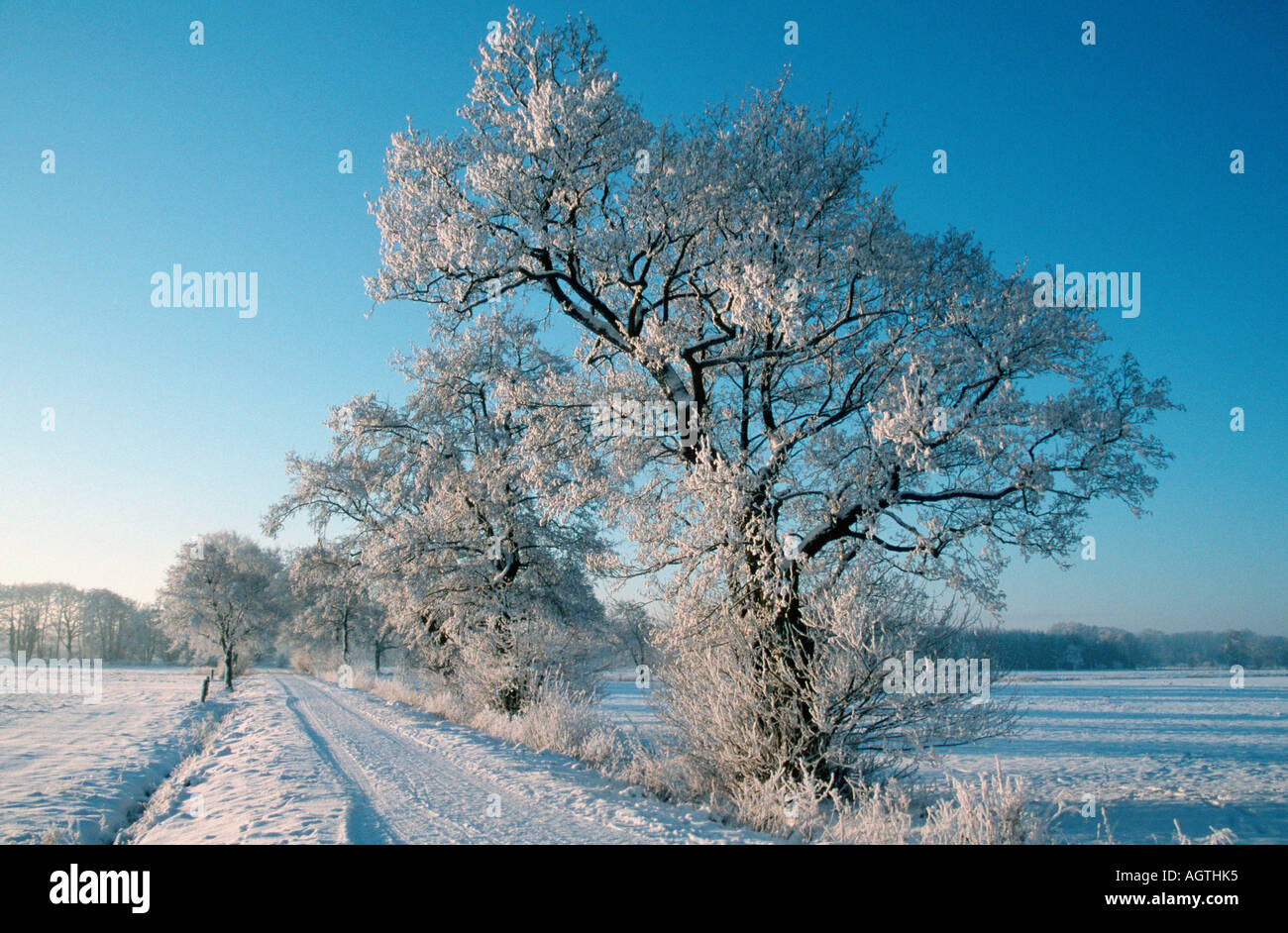 Country lane winter hi-res stock photography and images - Alamy