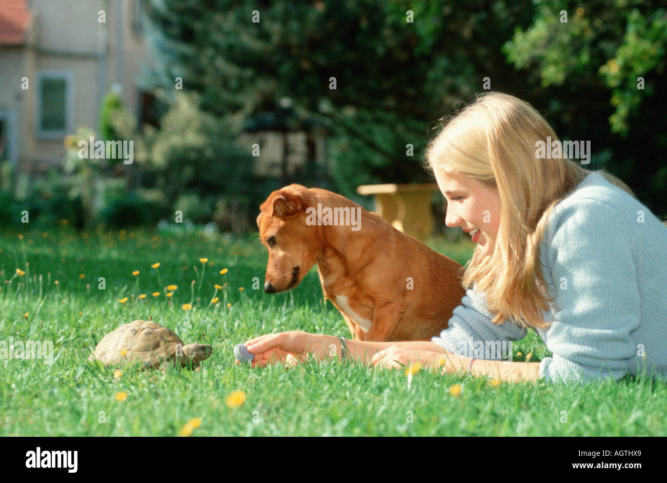 Girl with dog and tortoise Stock Photo - Alamy