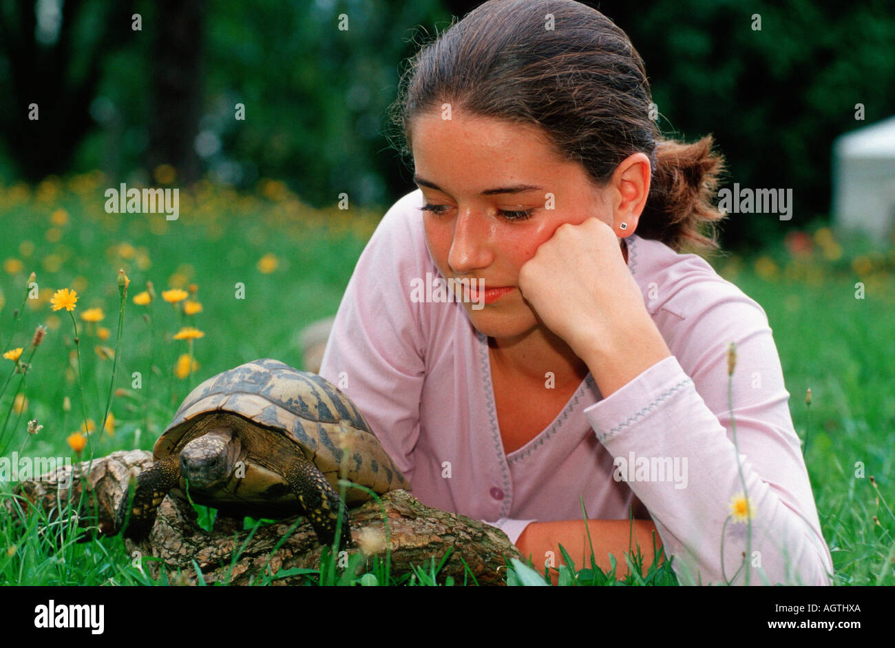 Girl with Greek Tortoise Stock Photo - Alamy