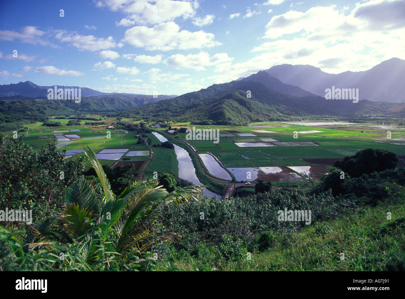 Hanalei bridge hi-res stock photography and images - Alamy