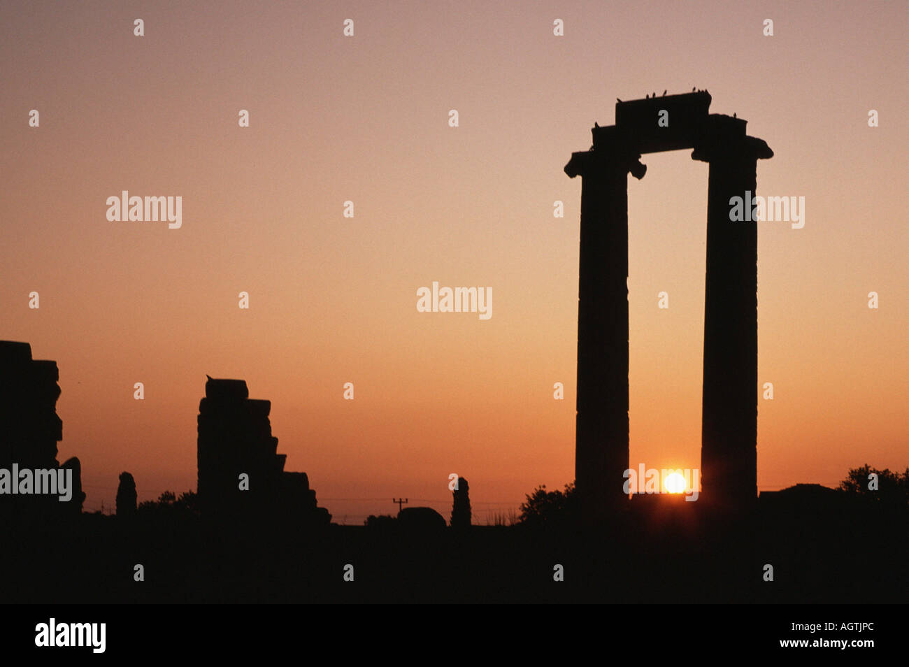 Apollo temple / Didyma Stock Photo - Alamy