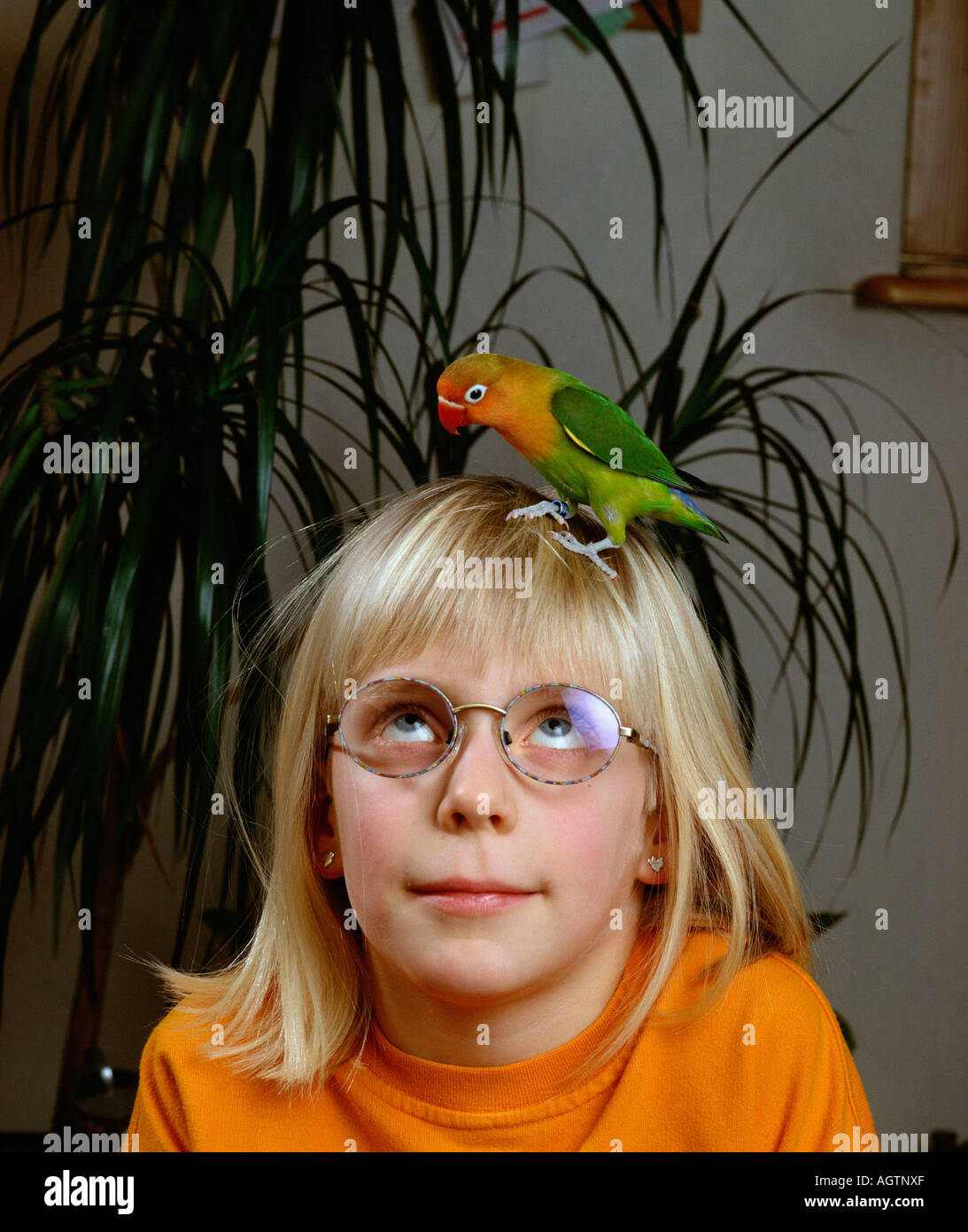 Parrot on girls head hi-res stock photography and images - Alamy