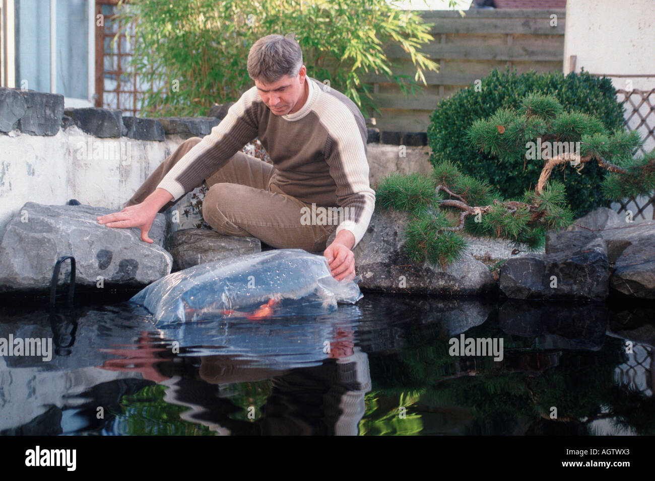 Man koi hi-res stock photography and images - Alamy