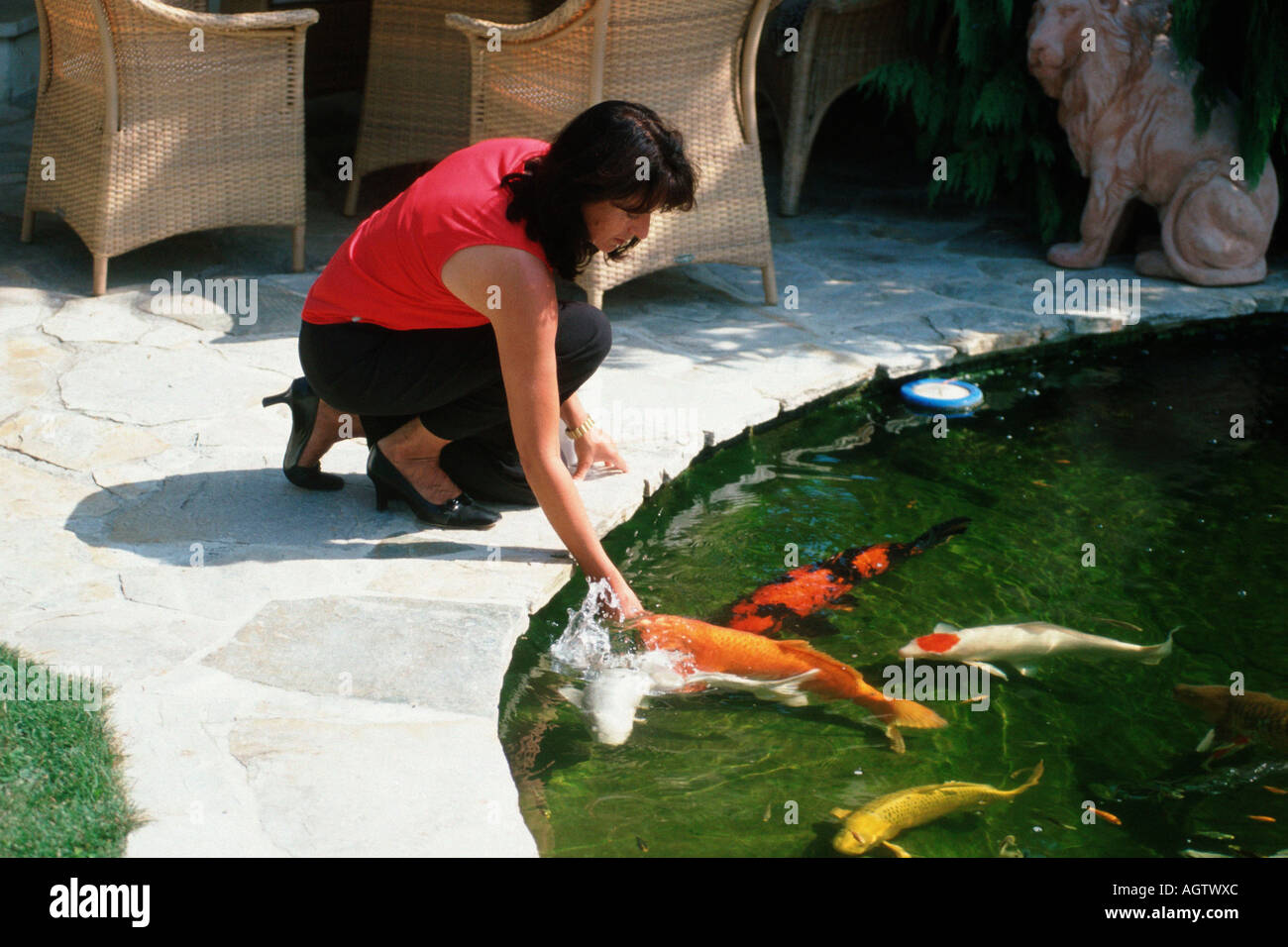 Woman with koi hi-res stock photography and images - Alamy