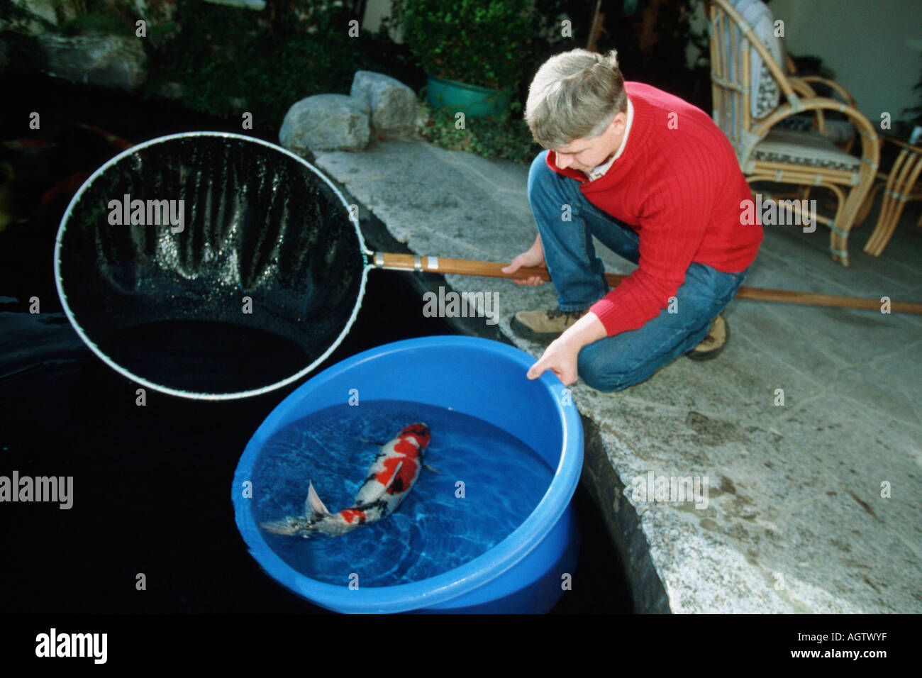 Man with Koi Stock Photo - Alamy