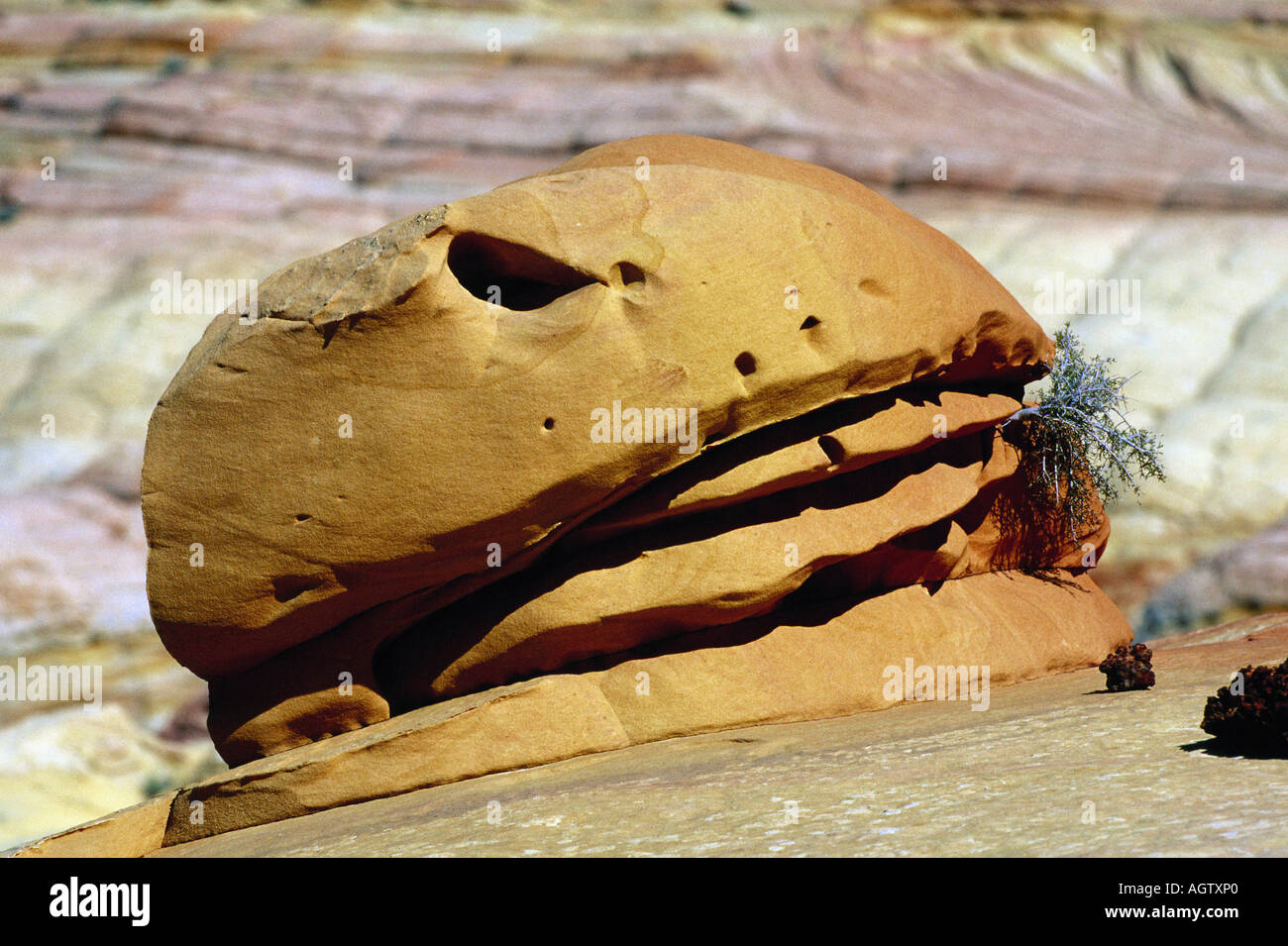 Sand Stone formations Stock Photo - Alamy