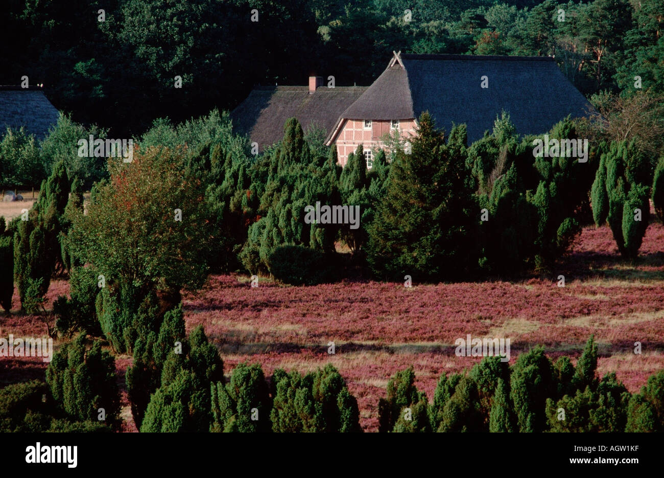 Timber-framed Farm House Stock Photo - Alamy