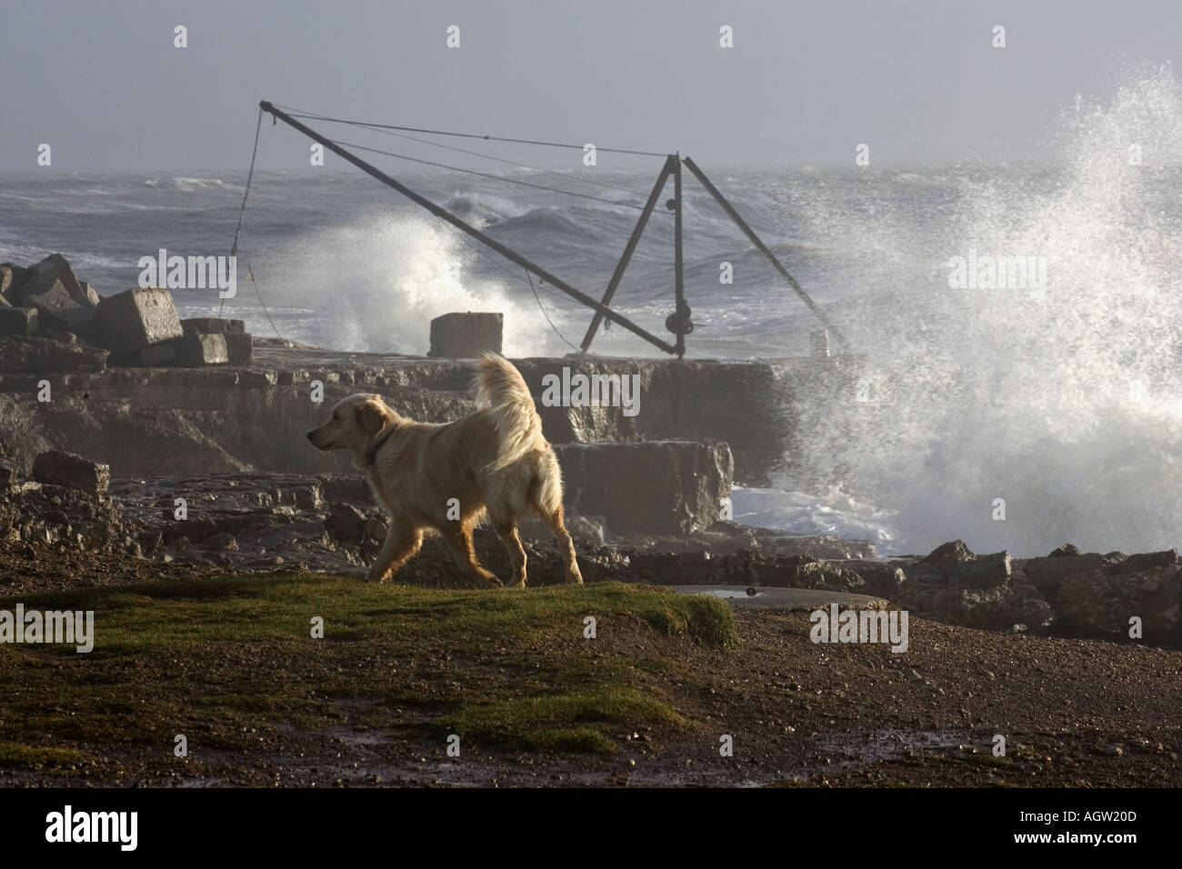 Rough sea portland bill hi-res stock photography and images - Alamy