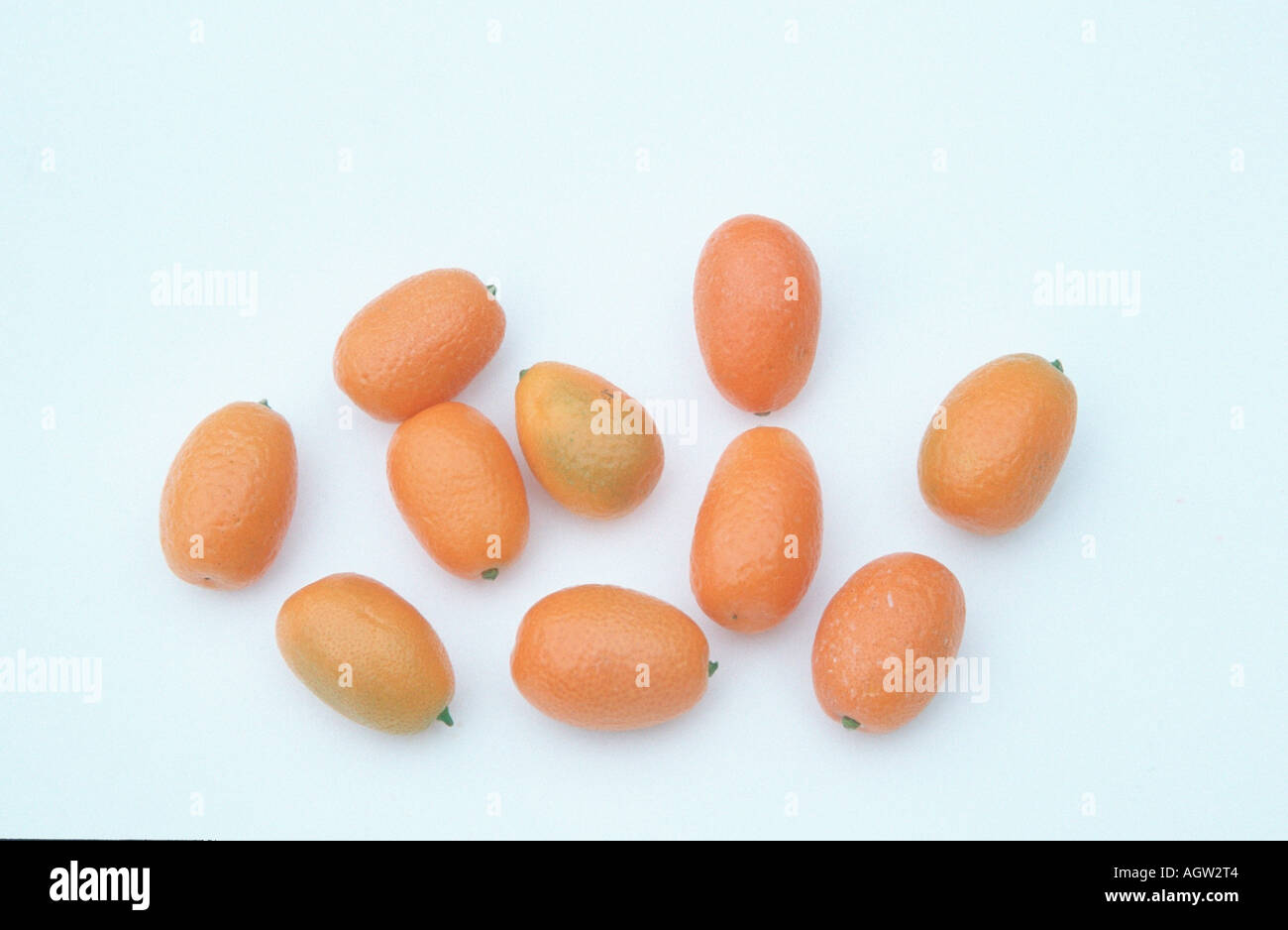 Swingle hi-res stock photography and images - Alamy