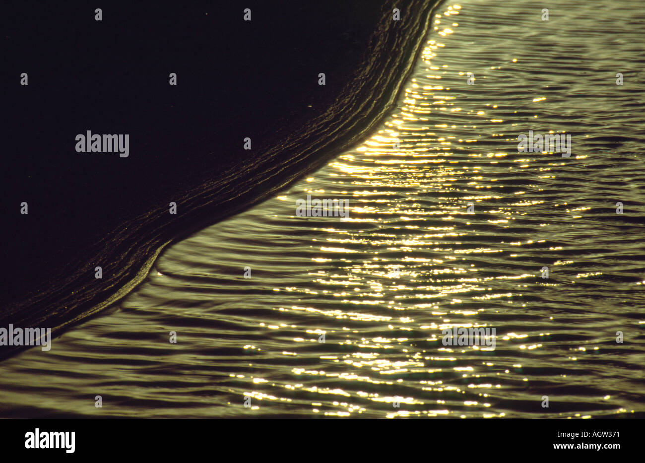 Golden Sun Reflection On Water