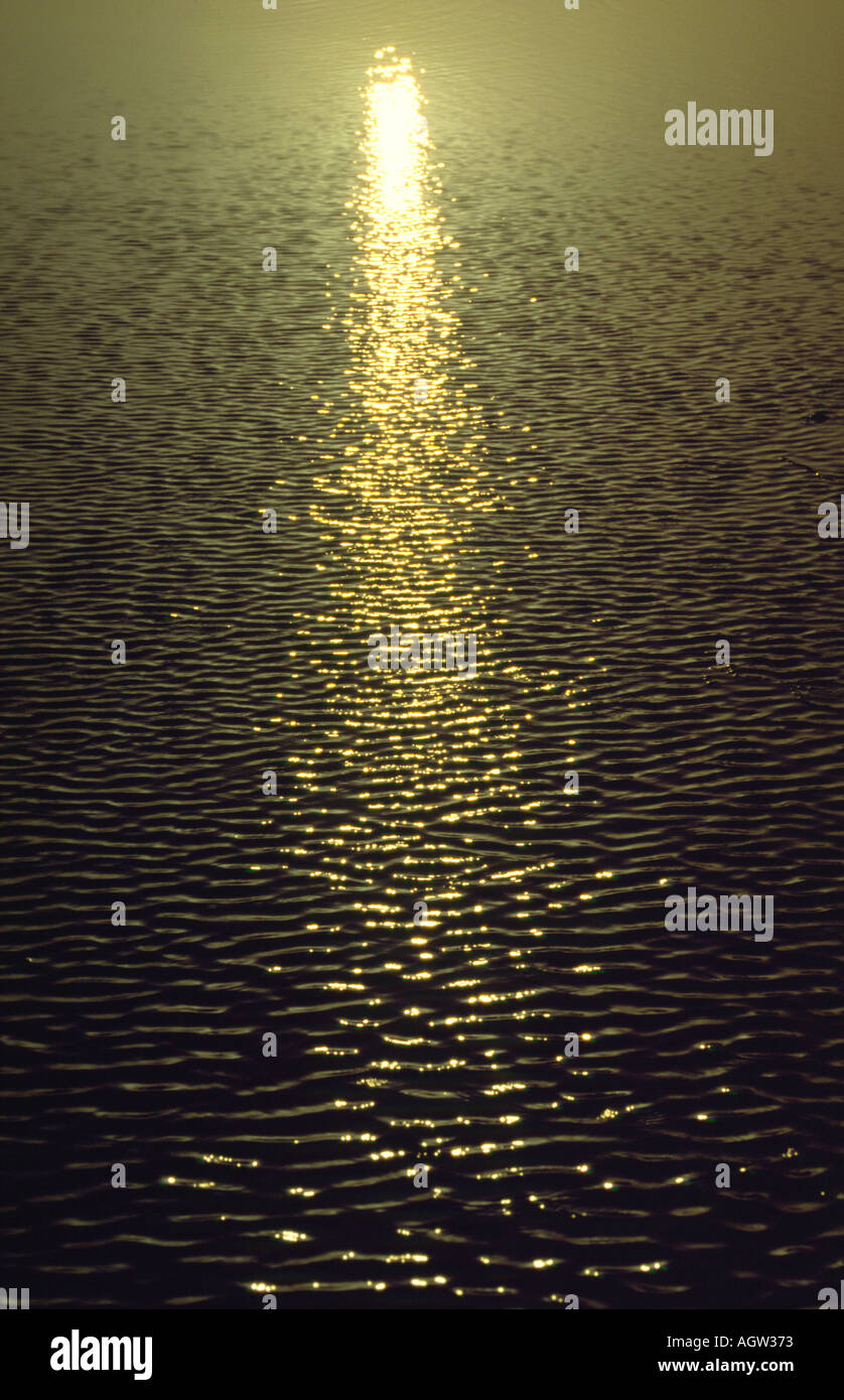 Golden Sun Reflection On Water