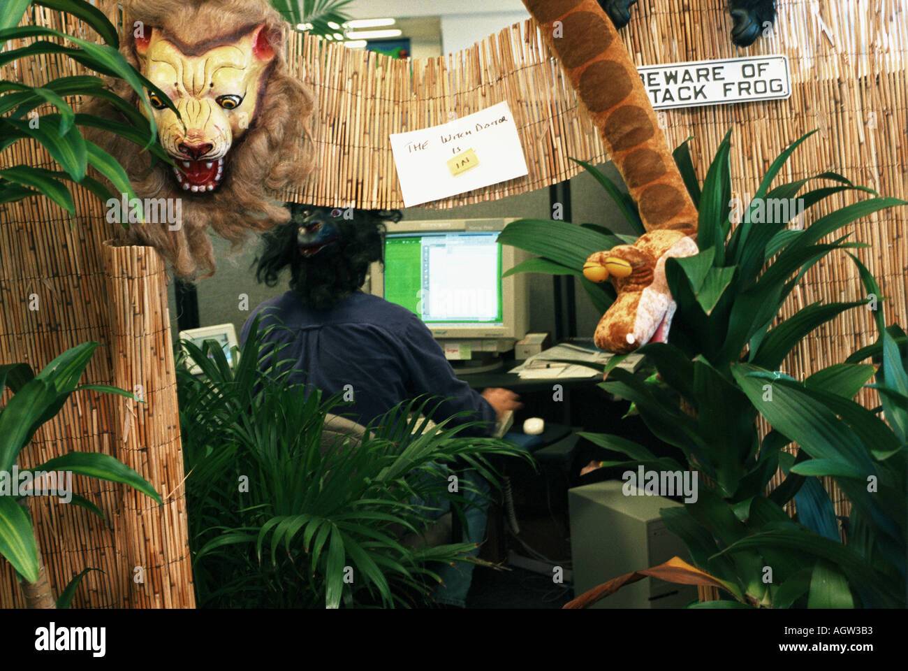 A software programmer sitting in his Jungle themed cubicle at Junglee ...