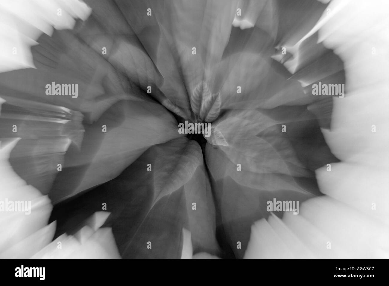 Dramatic burst Black and White Stock Photos & Images - Alamy