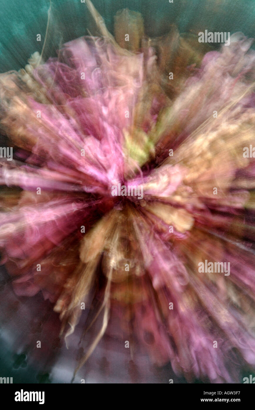 Pot pouri hi-res stock photography and images - Alamy