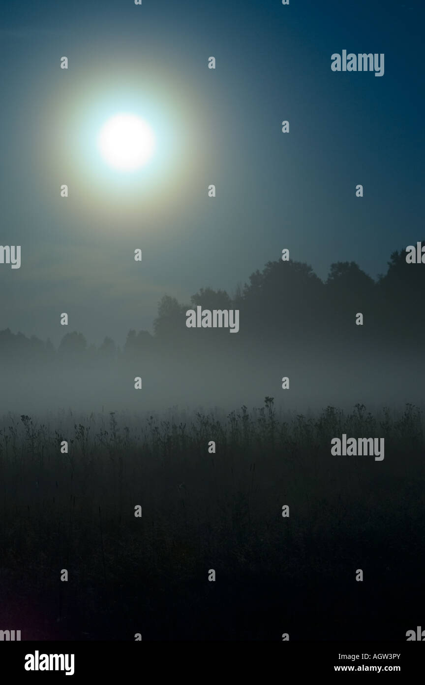 Misty night field lit with moonlight Stock Photo - Alamy