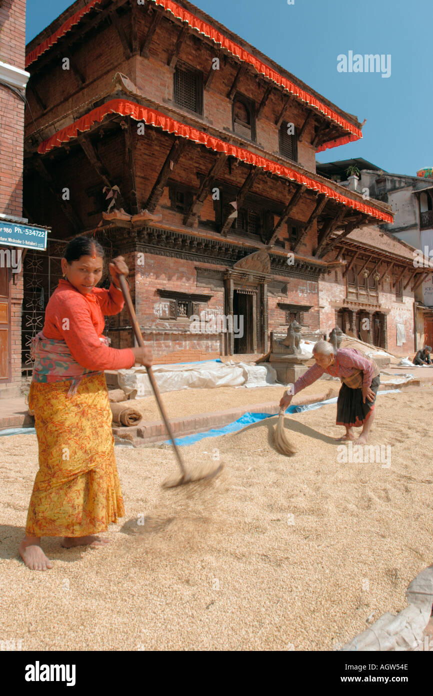 Nepal rice harvest drying work woman hi-res stock photography and ...