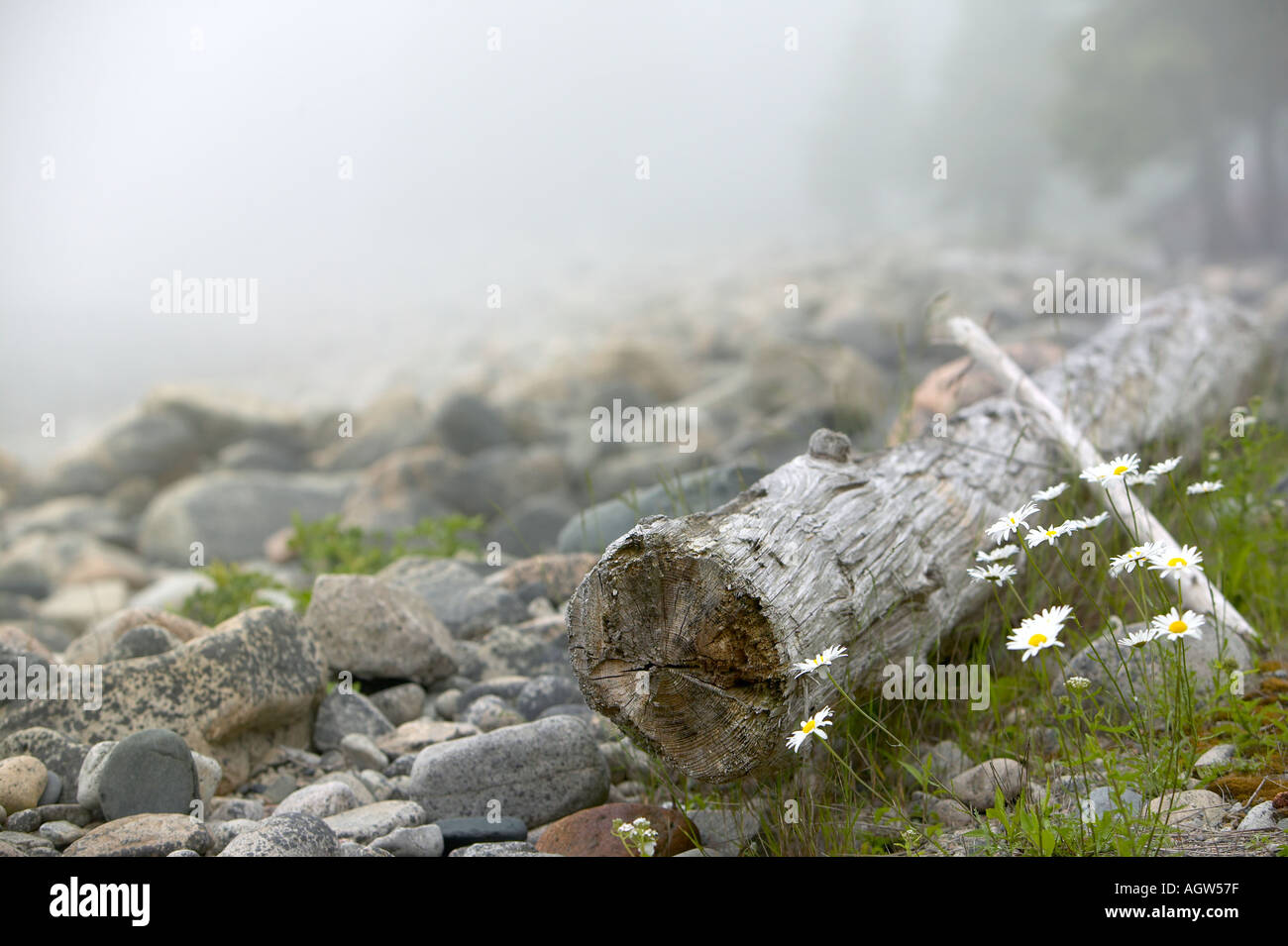 Down east maine schoodic peninsula hi-res stock photography and images ...