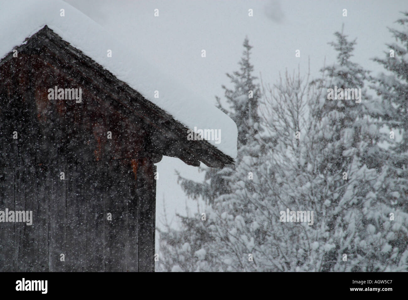 Heavy snow storm falling on hi-res stock photography and images - Alamy
