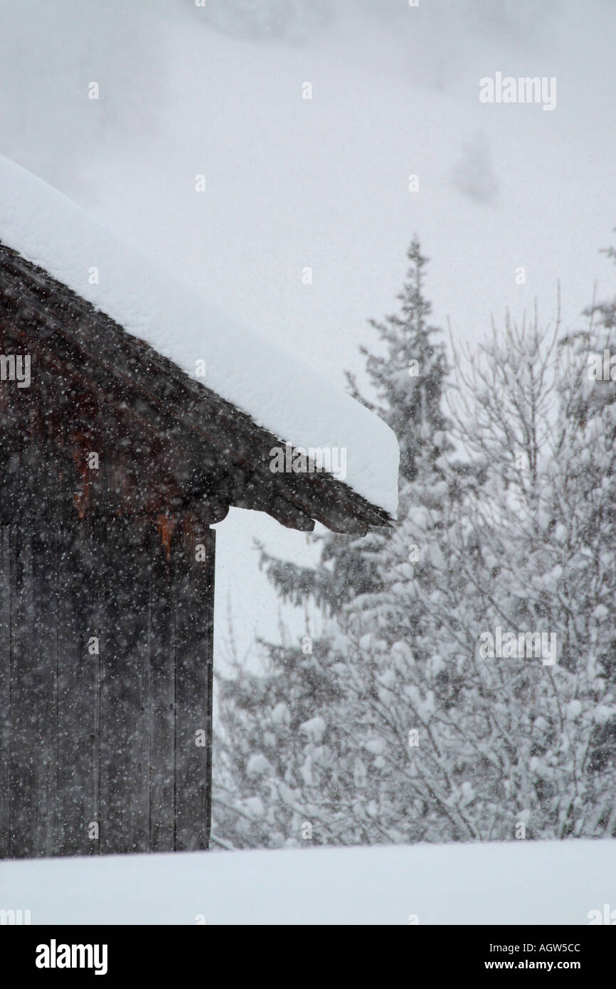 Heavy snow storm falling on hi-res stock photography and images - Alamy