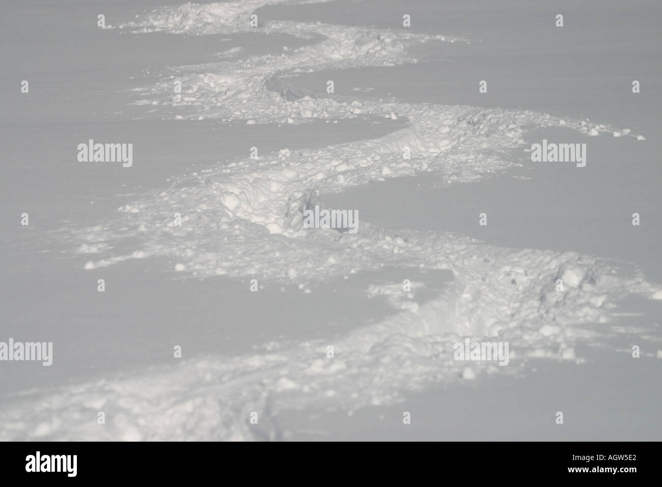 Parallel ski hi-res stock photography and images - Alamy