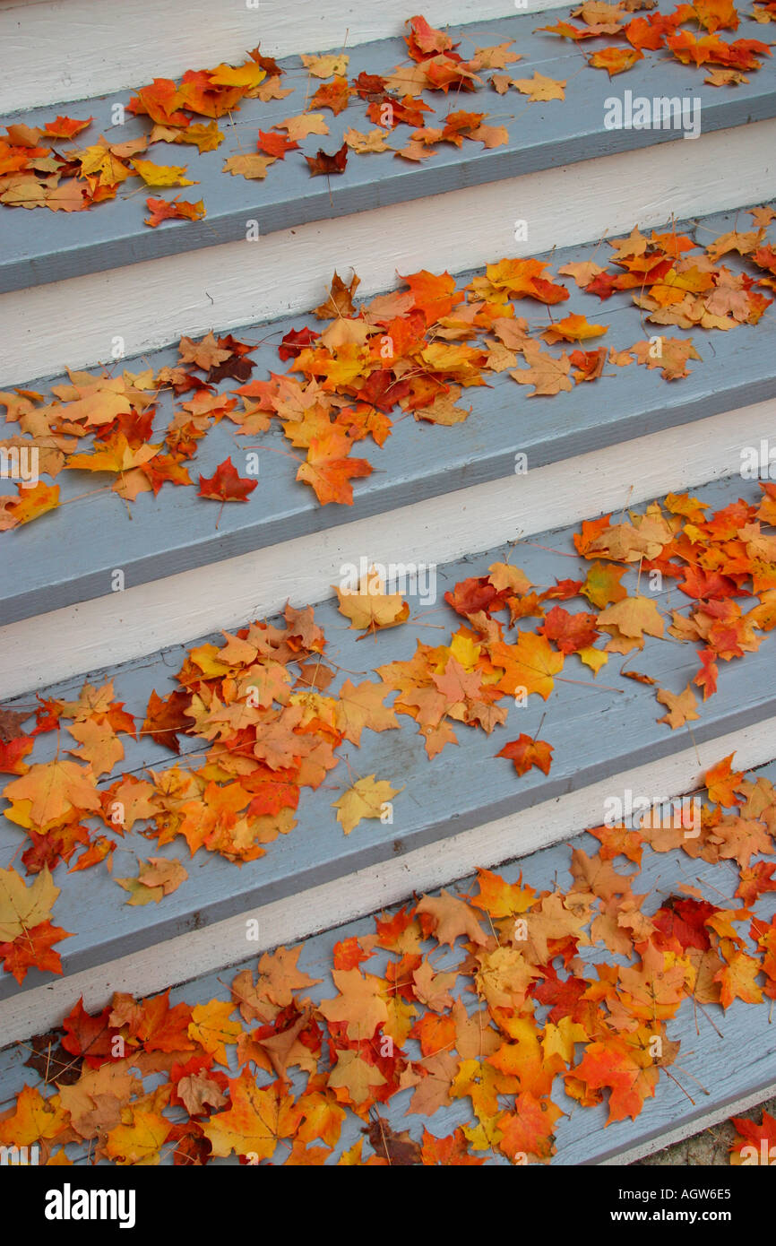 Autumn Leaves on Steps of Home Berkshires Massachusetts Stock Photo - Alamy