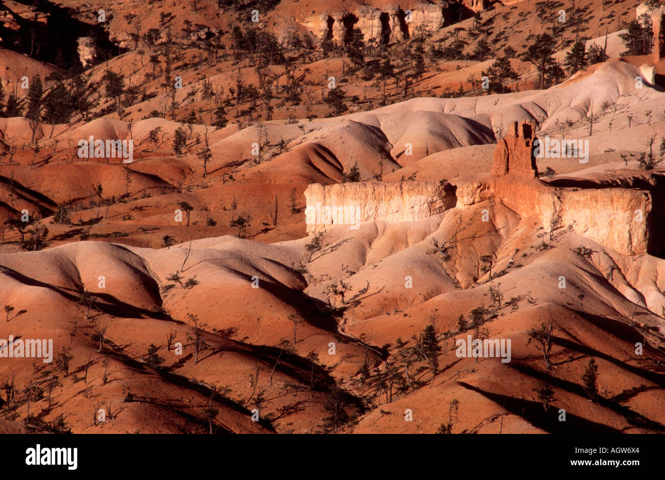 Sand Stone formations Stock Photo - Alamy