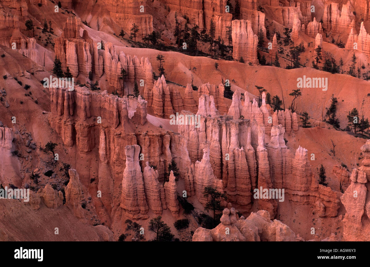 Sand Stone formations Stock Photo - Alamy