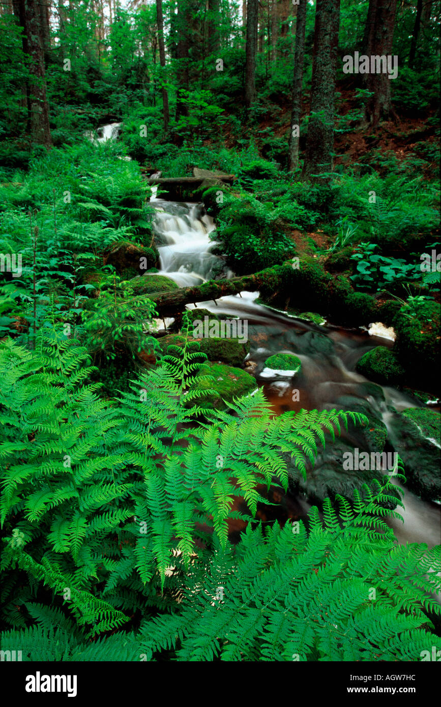 Mountain Brook / Bergbach Stock Photo - Alamy