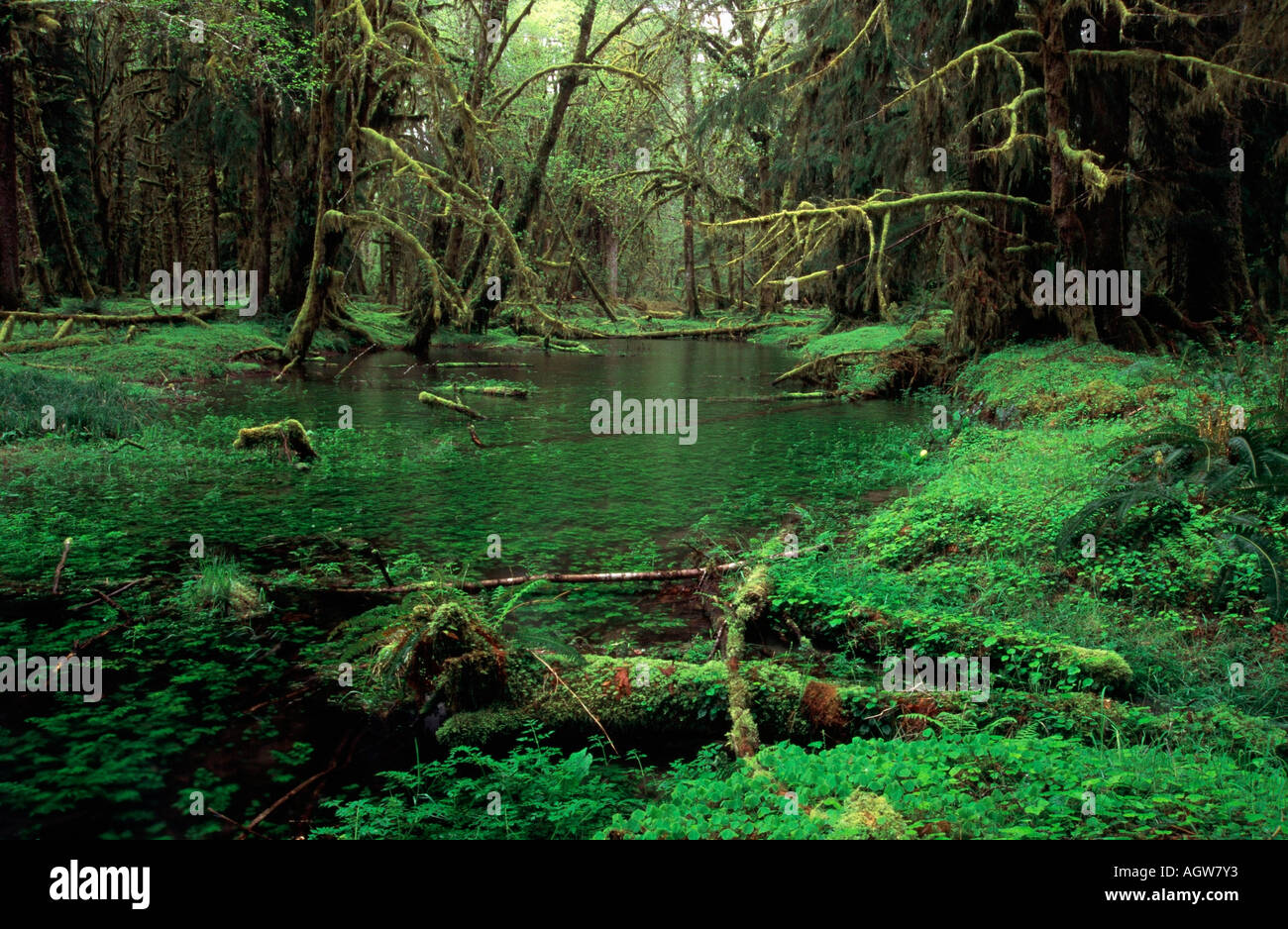 Temperate waters hi-res stock photography and images - Alamy