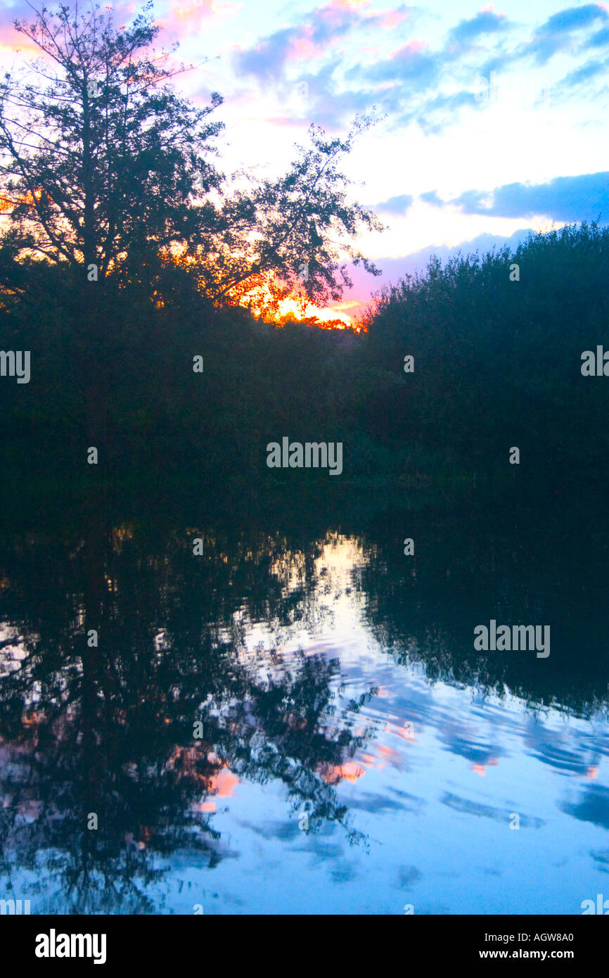 Mirror water reflections portrait Stock Photo - Alamy