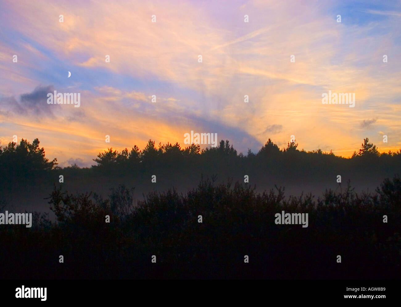Night Sky Forest Scene Calendar Brochure Stock Photo - Alamy