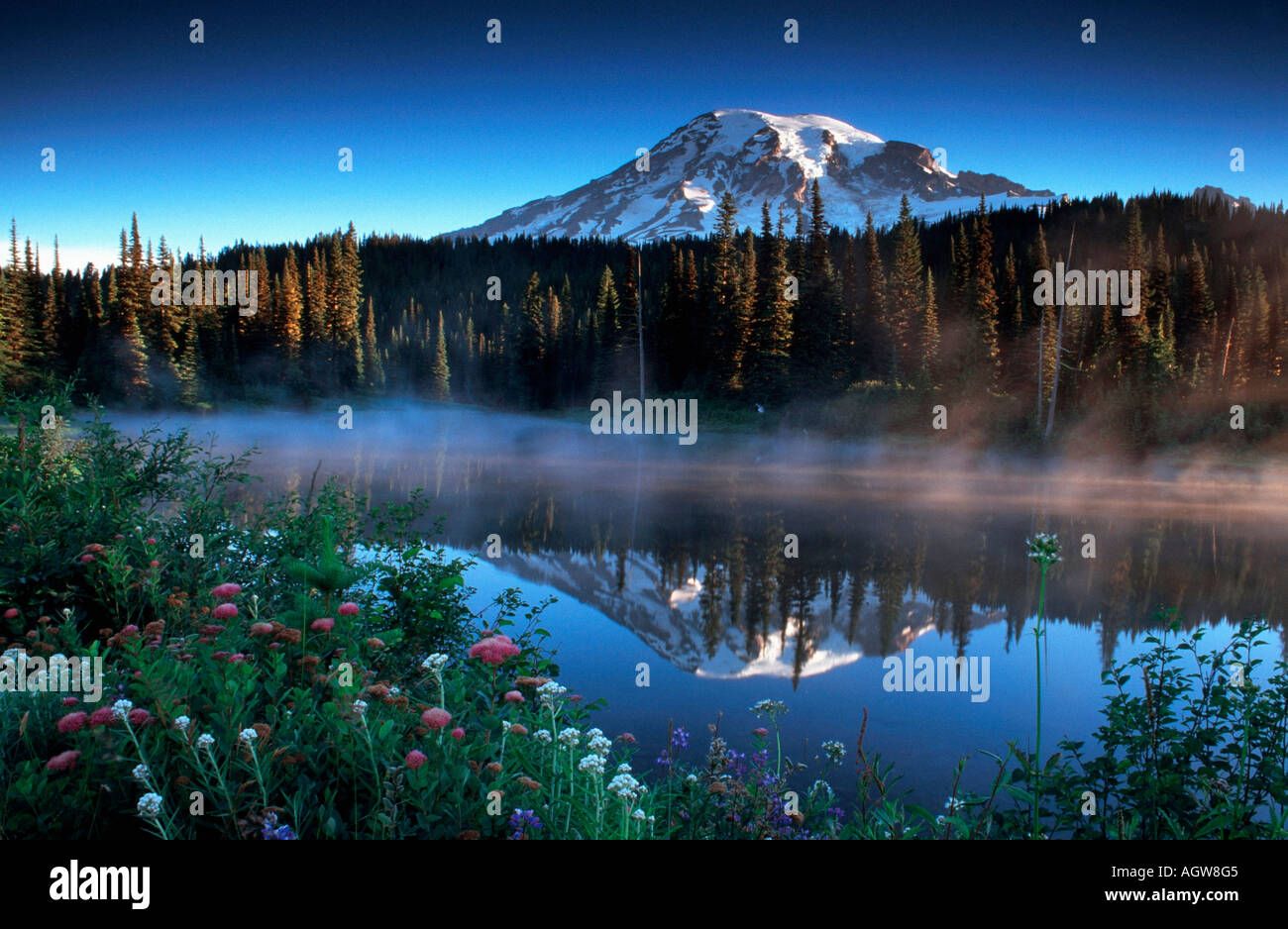 Mount Rainier and Reflection lake Stock Photo - Alamy