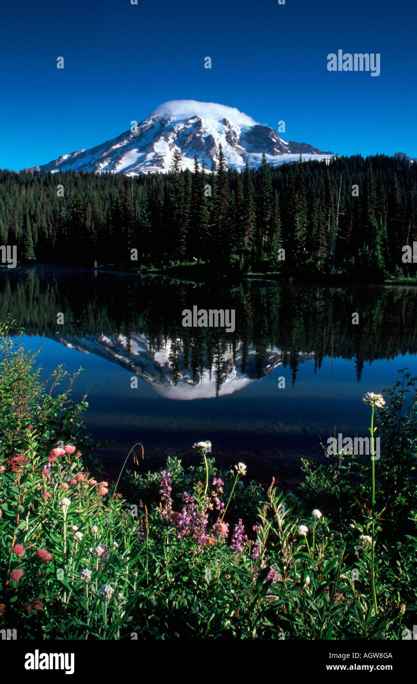 Mount Rainier and Reflection Lake Stock Photo - Alamy