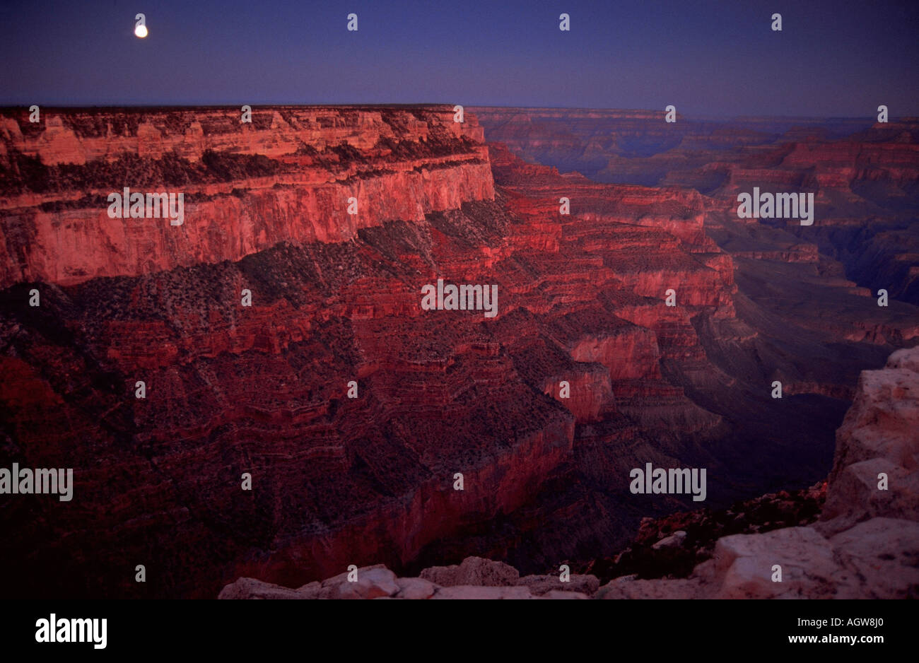Moonset over the Grand Canyon Stock Photo - Alamy