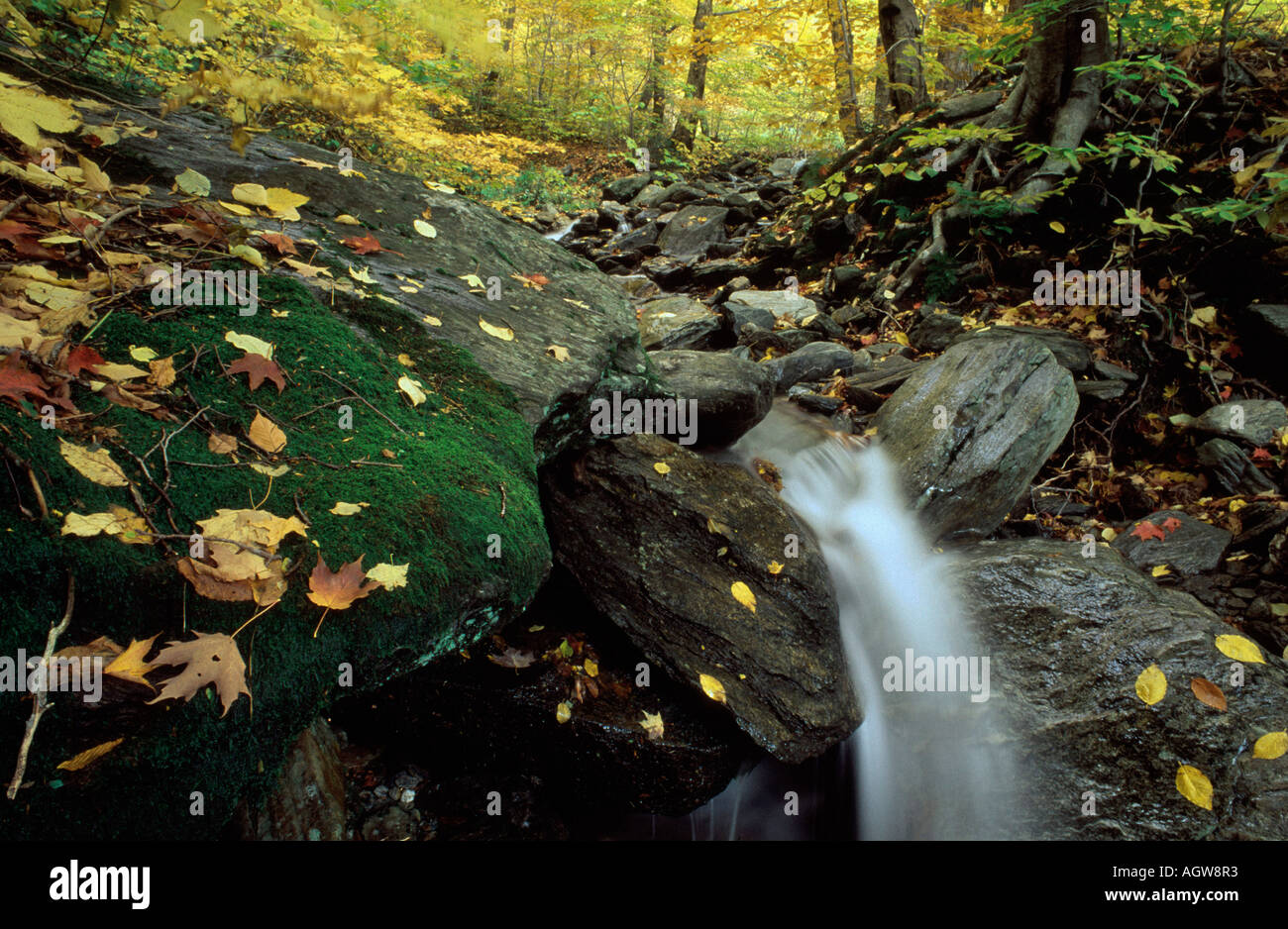 Vermont smugglers’ notch state park hi-res stock photography and images ...