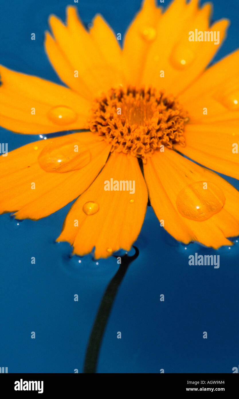 Wassersymbolik water symbolism hochformat vertical hi-res stock ...