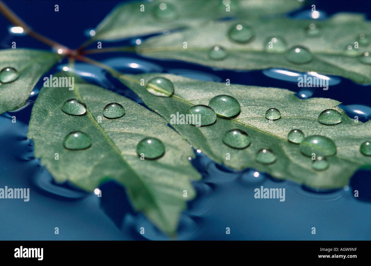 Wassersymbolik water symbolism frisch fresh querformat horizontal hi ...