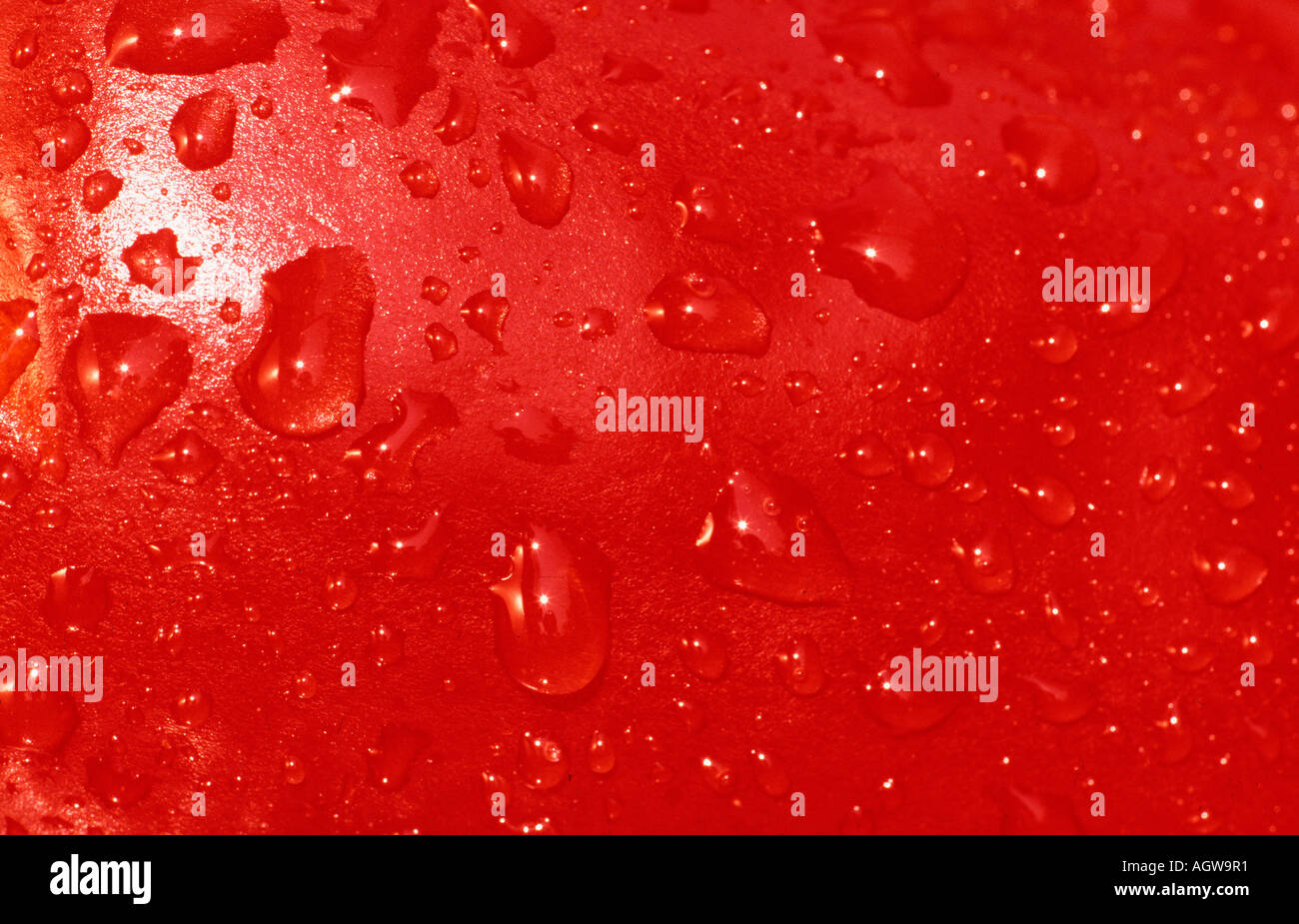 Wassersymbolik water symbolism leuchtend brightness rot red querformat ...