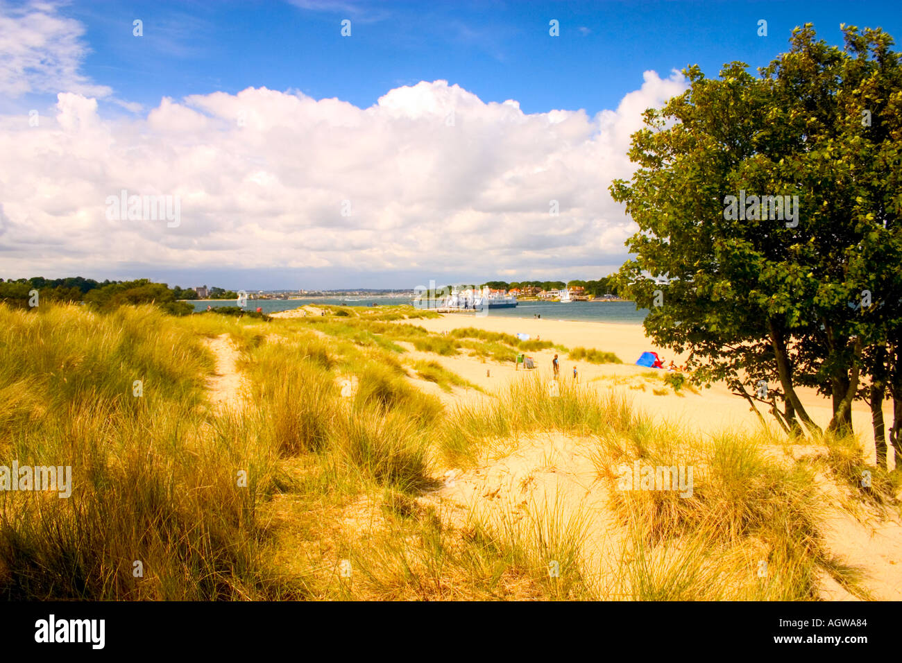 Studland Beach Dorset Sand Blue Sky Clouds Holiday Summers Day Stock ...