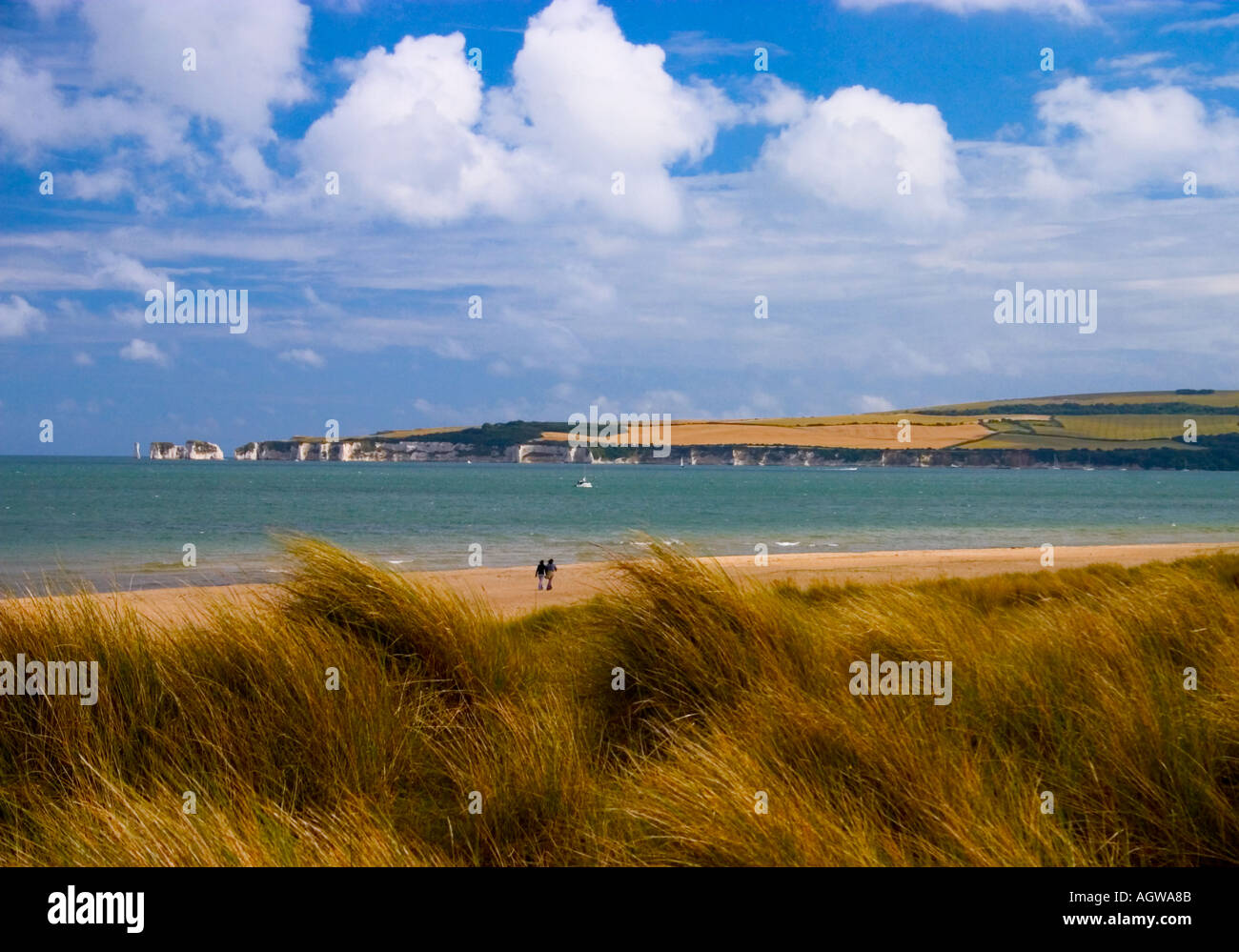 Studland BeachDorset Sand Sea Blue Sky Holiday Magazine Stock Photo - Alamy
