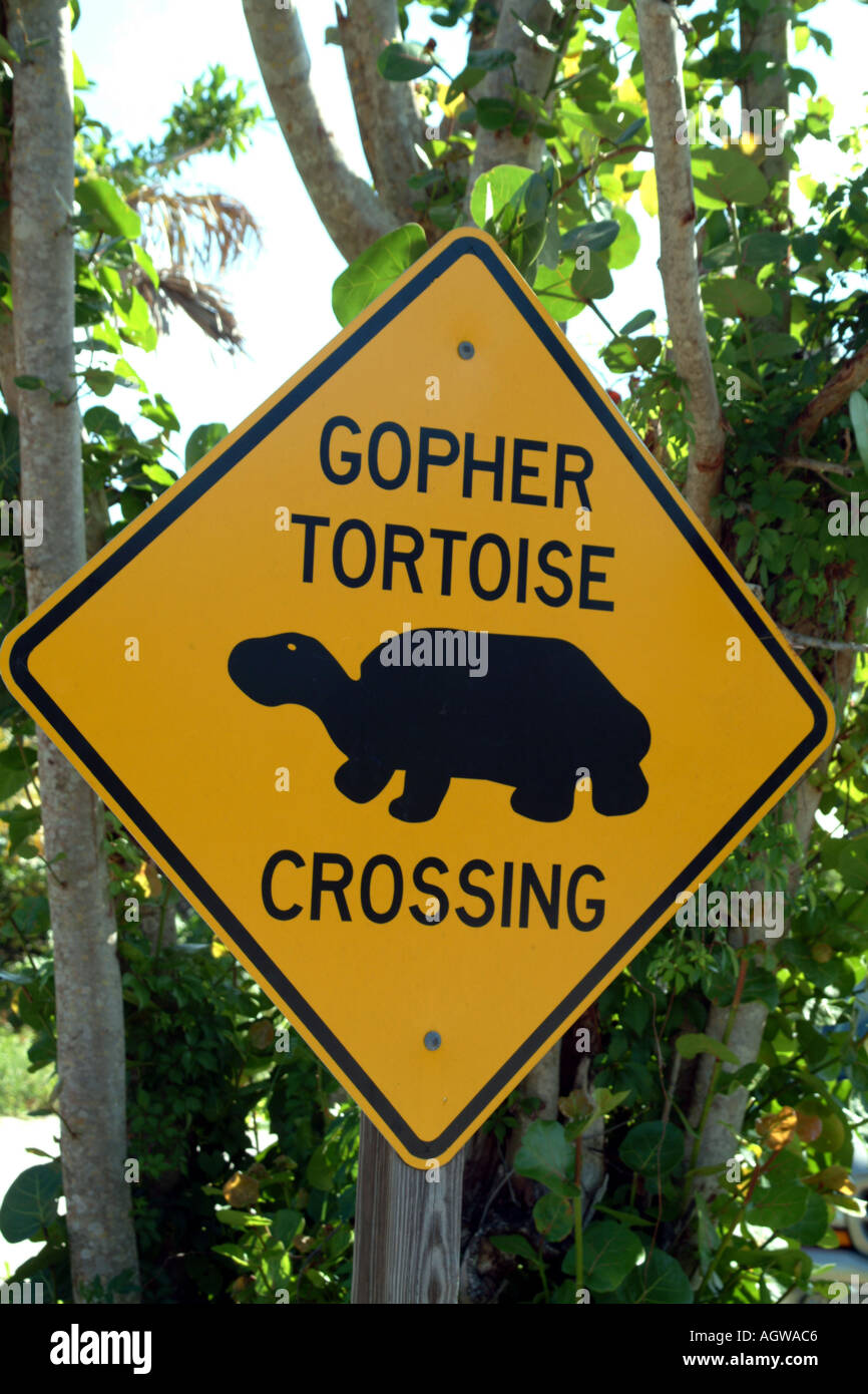 Tortoise crossing road sign hi-res stock photography and images - Alamy