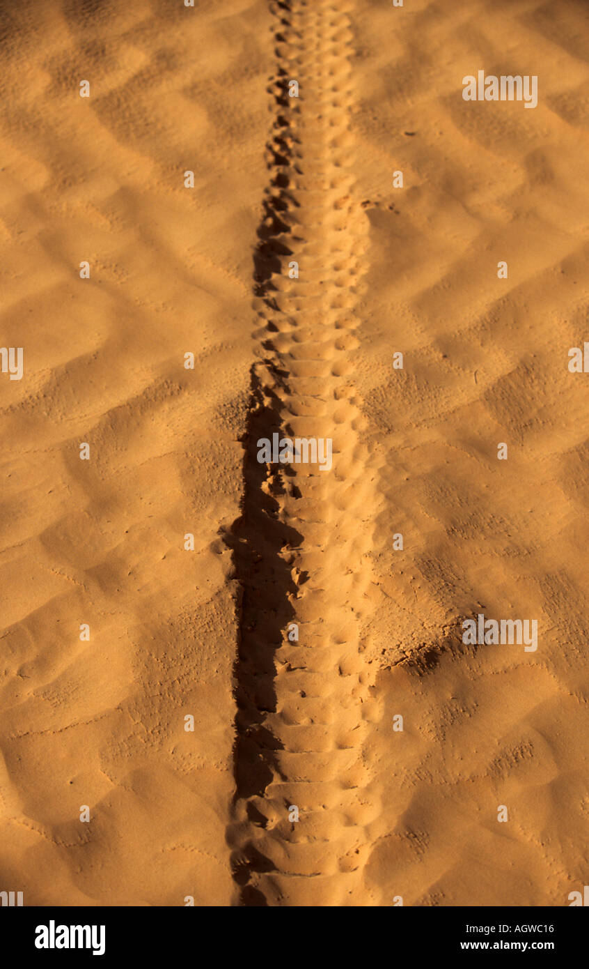 Tire trace on the sand Stock Photo - Alamy
