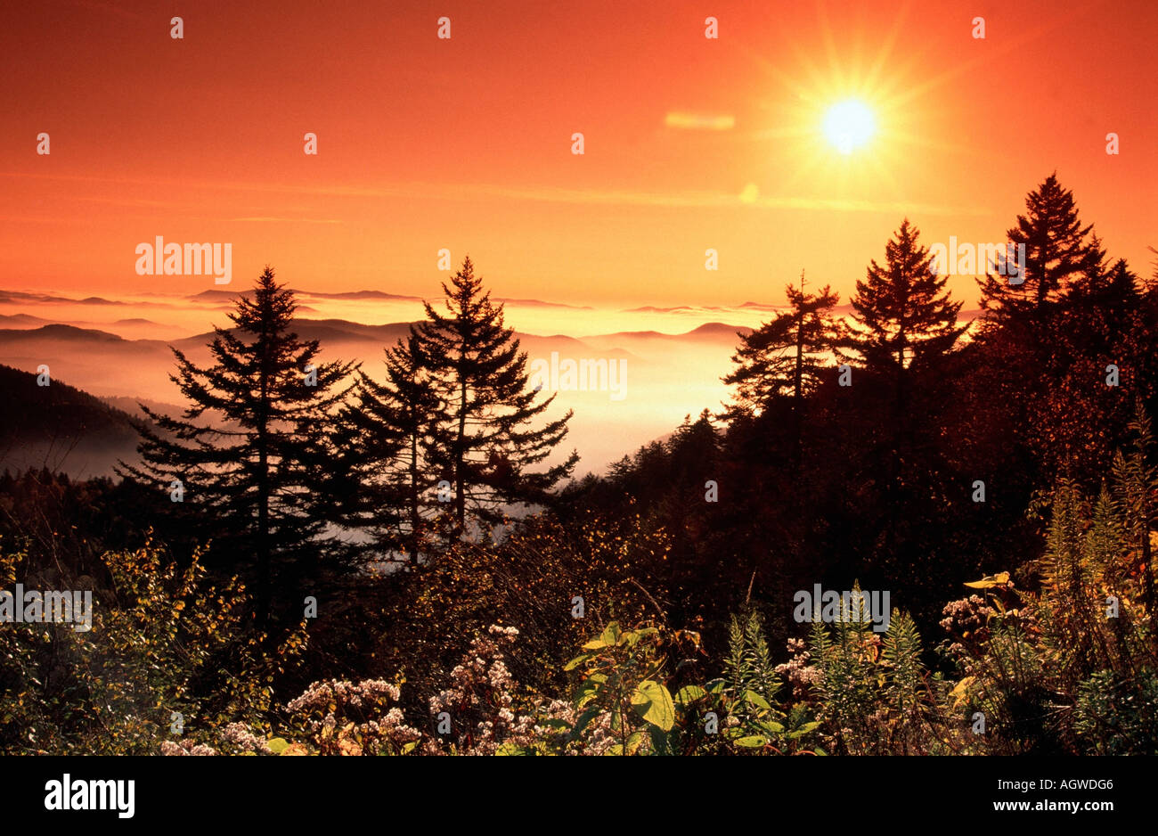 Appalachian Mountains at sunset Stock Photo - Alamy