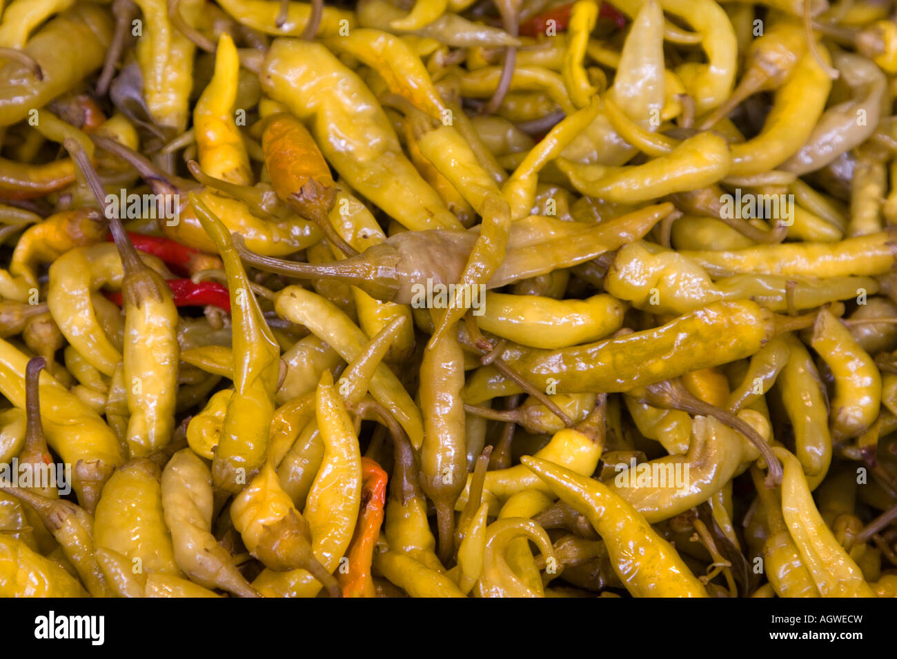 Tripoli, Libya. Green Peppers, Rashid Street Market Stock Photo - Alamy