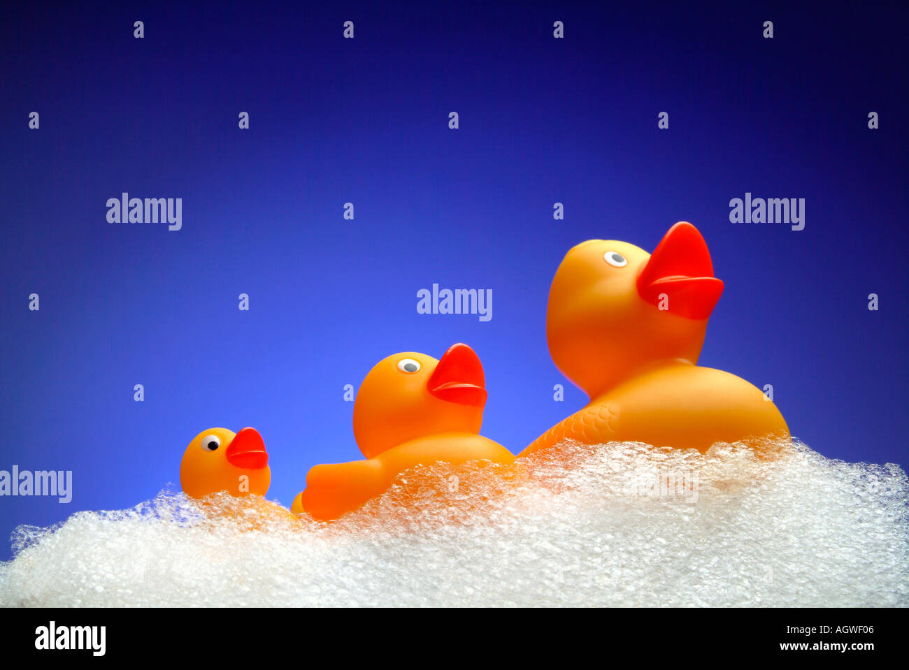 Rubber ducks bubble bath hi-res stock photography and images - Alamy